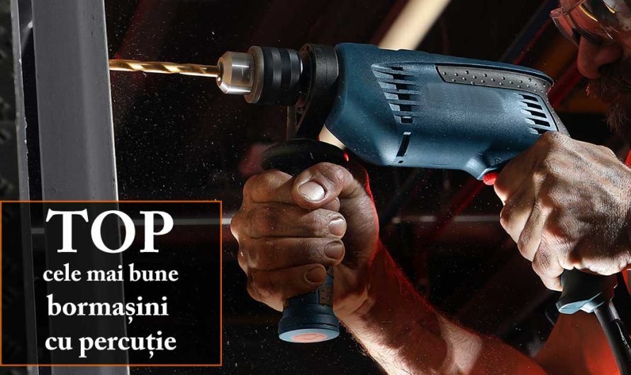 TOP 5 cele mai bune incubatoare de ouă (clocitoare) în 2025