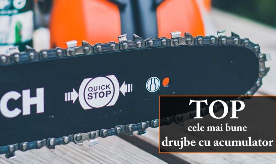TOP 5 cele mai bune incubatoare de ouă (clocitoare) în 2025