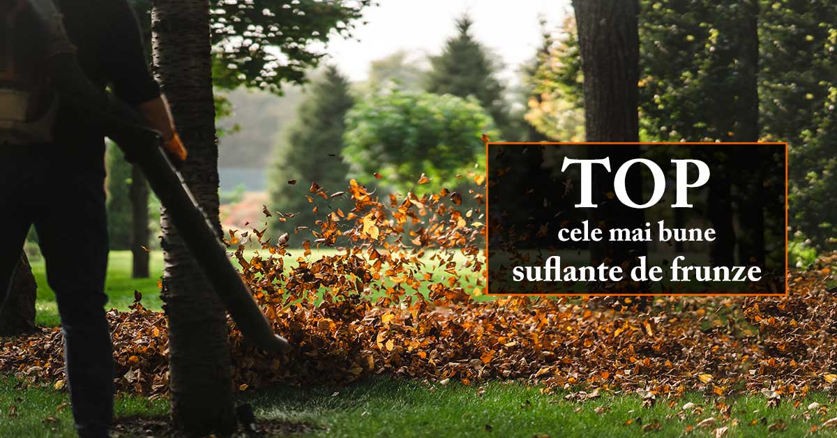 TOP 9 cele mai bune suflante de frunze în 2025 - TOP MEȘTER